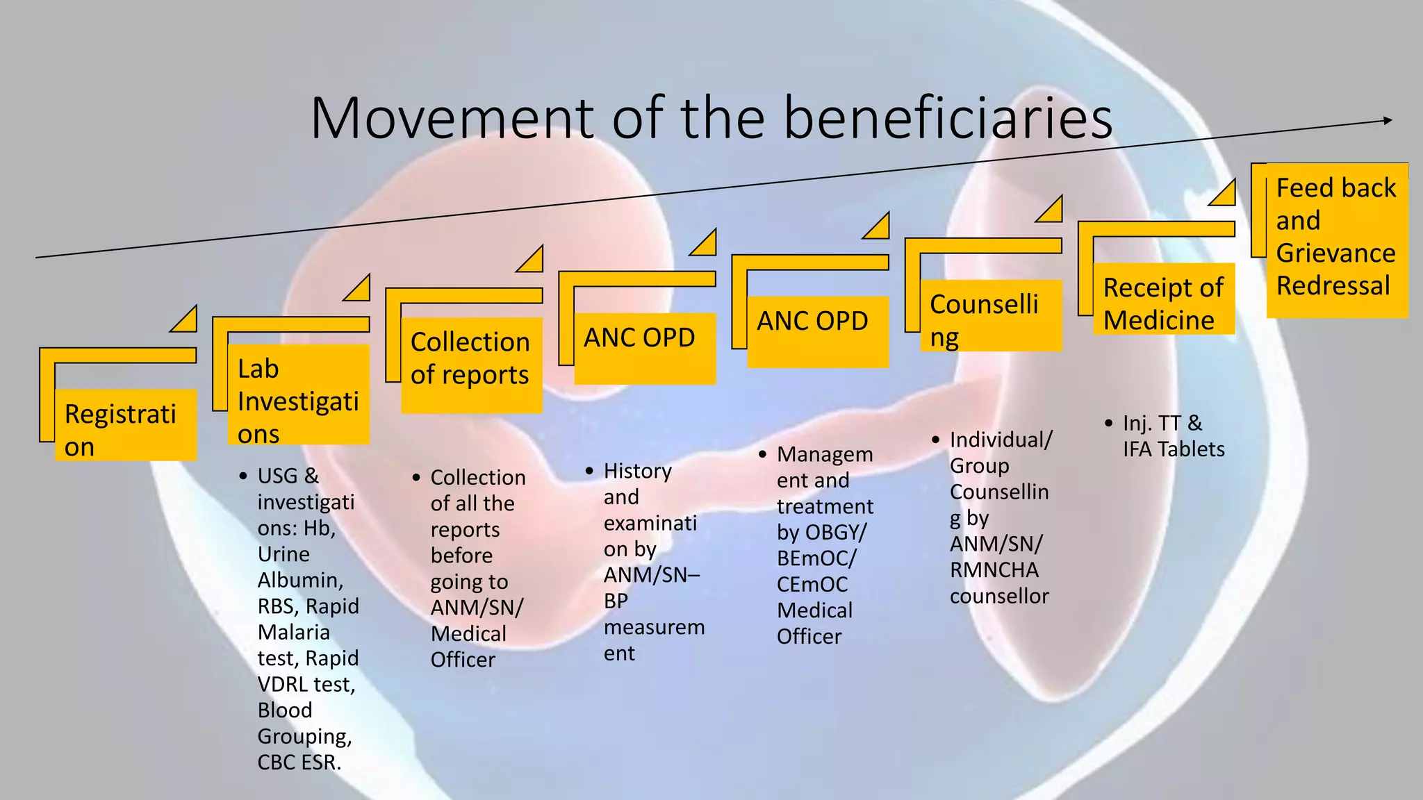 Pradhan Mantri Surakshit Matritva Abhiyan (PMSMA): Latest Guidelines | PDF