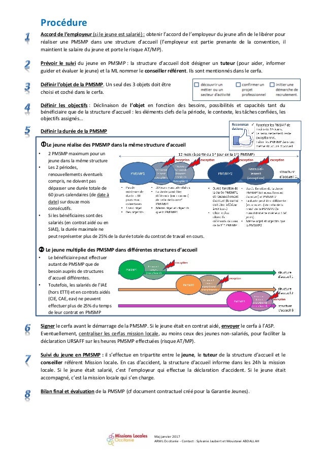 PMSMP : Période de Mise en Situation en Milieu Professionnel : L'essentiel à retenir / Auteur ...