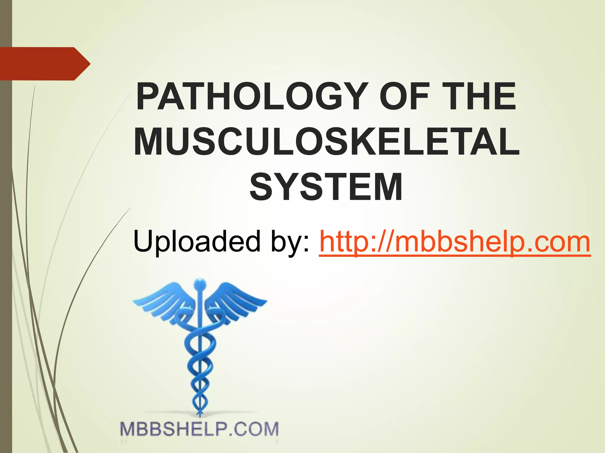 PATHOLOGY OF THE MUSCULOSKELETAL SYSTEM | PPTX