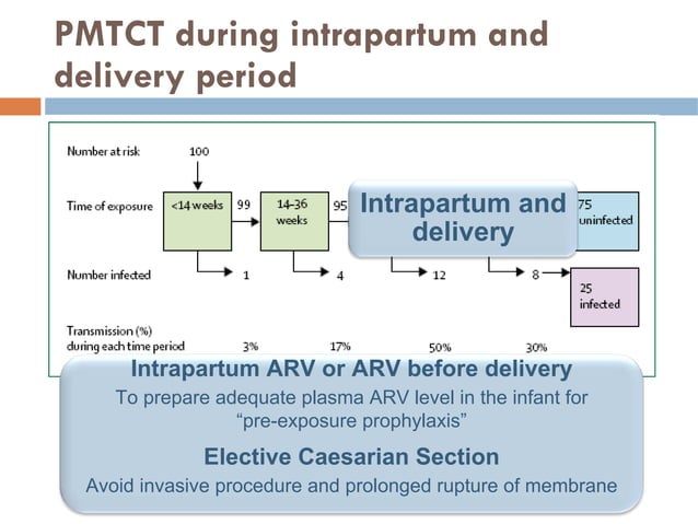 Pmtct | PDF | Pregnancy | Reproductive Health