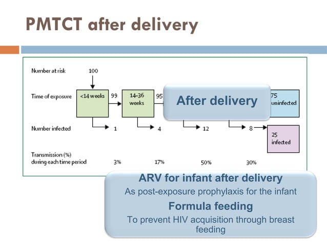 Pmtct | PDF | Pregnancy | Reproductive Health
