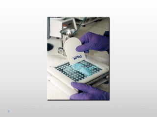 PMY 6120_1-2-Pharmaceutical Formulation Systems_Compound and Dispensing ...