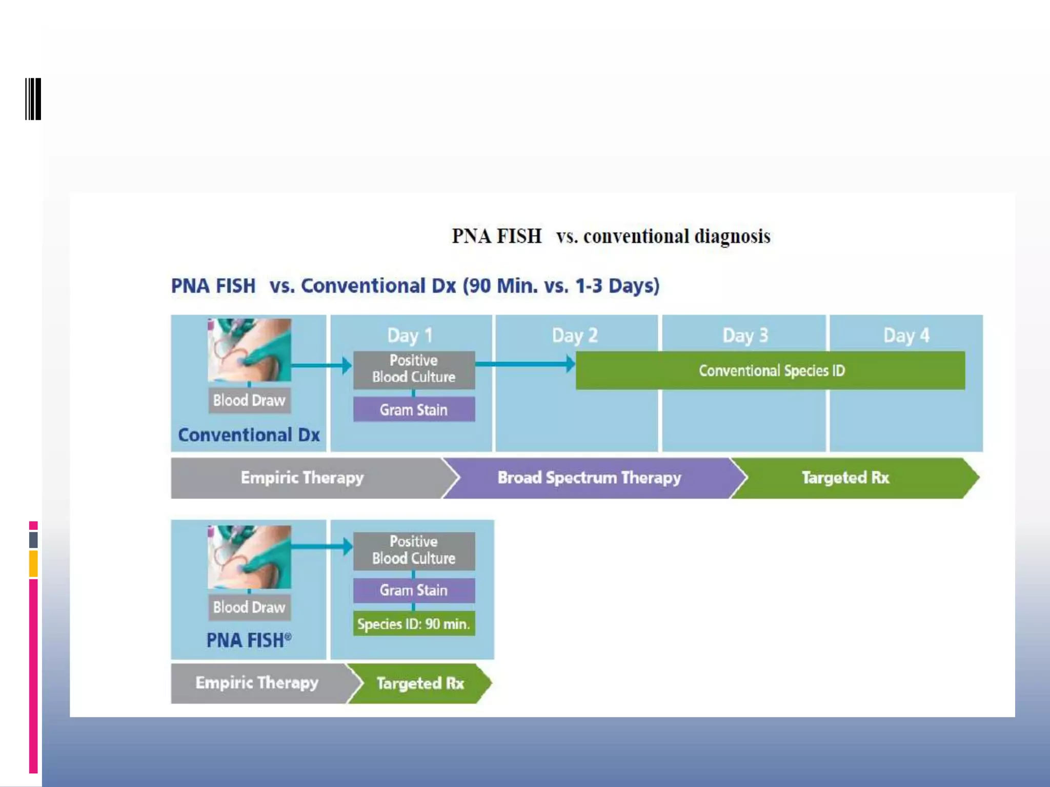 Pna fish by dr prabhash | PPTX