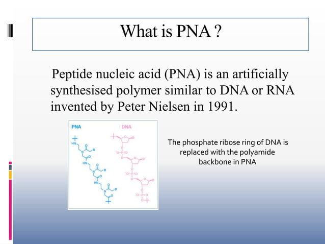 Pna fish by dr prabhash | PPT