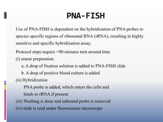 Pna fish by dr prabhash | PPT