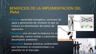 Pnaa programa nacional de auditoria ambiental méxico | PPT