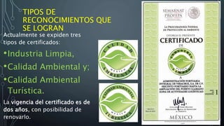 Pnaa programa nacional de auditoria ambiental méxico | PPTX