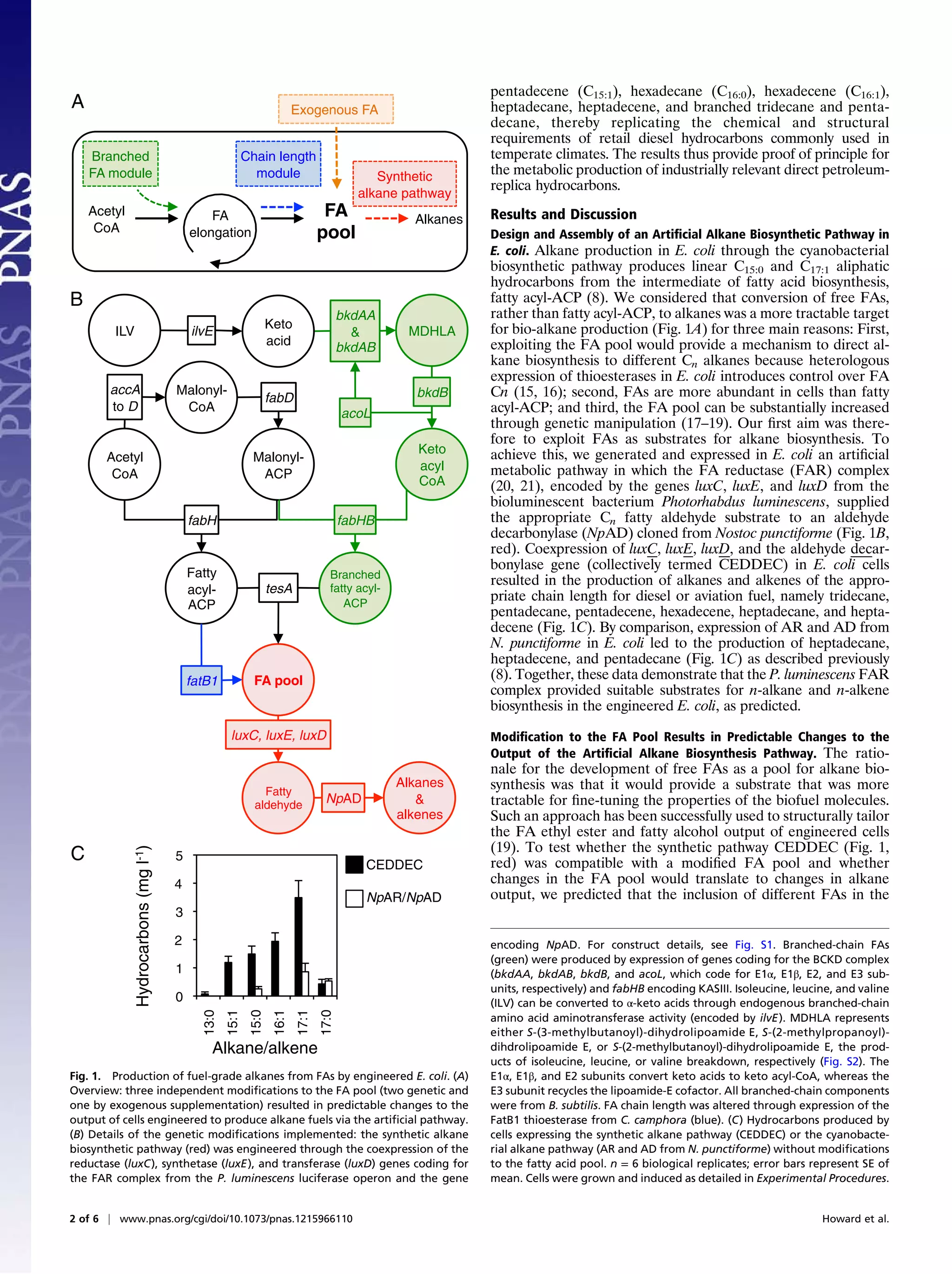 Synthesis of customized petroleum-replica fuel molecules by targeted modification of free fatty ...