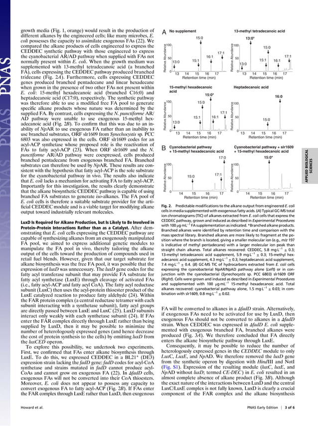 Synthesis of customized petroleum-replica fuel molecules by targeted modification of free fatty ...