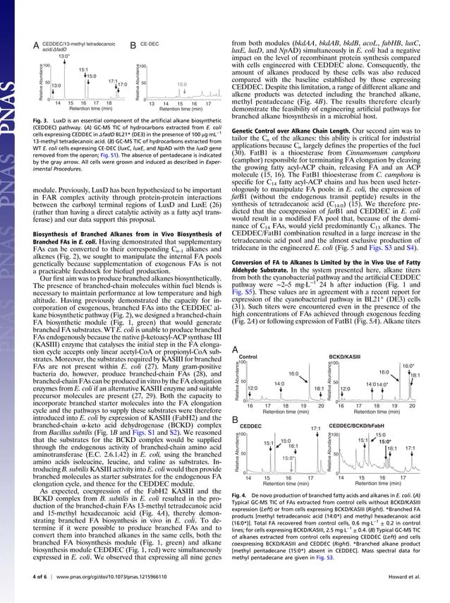 Synthesis of customized petroleum-replica fuel molecules by targeted ...