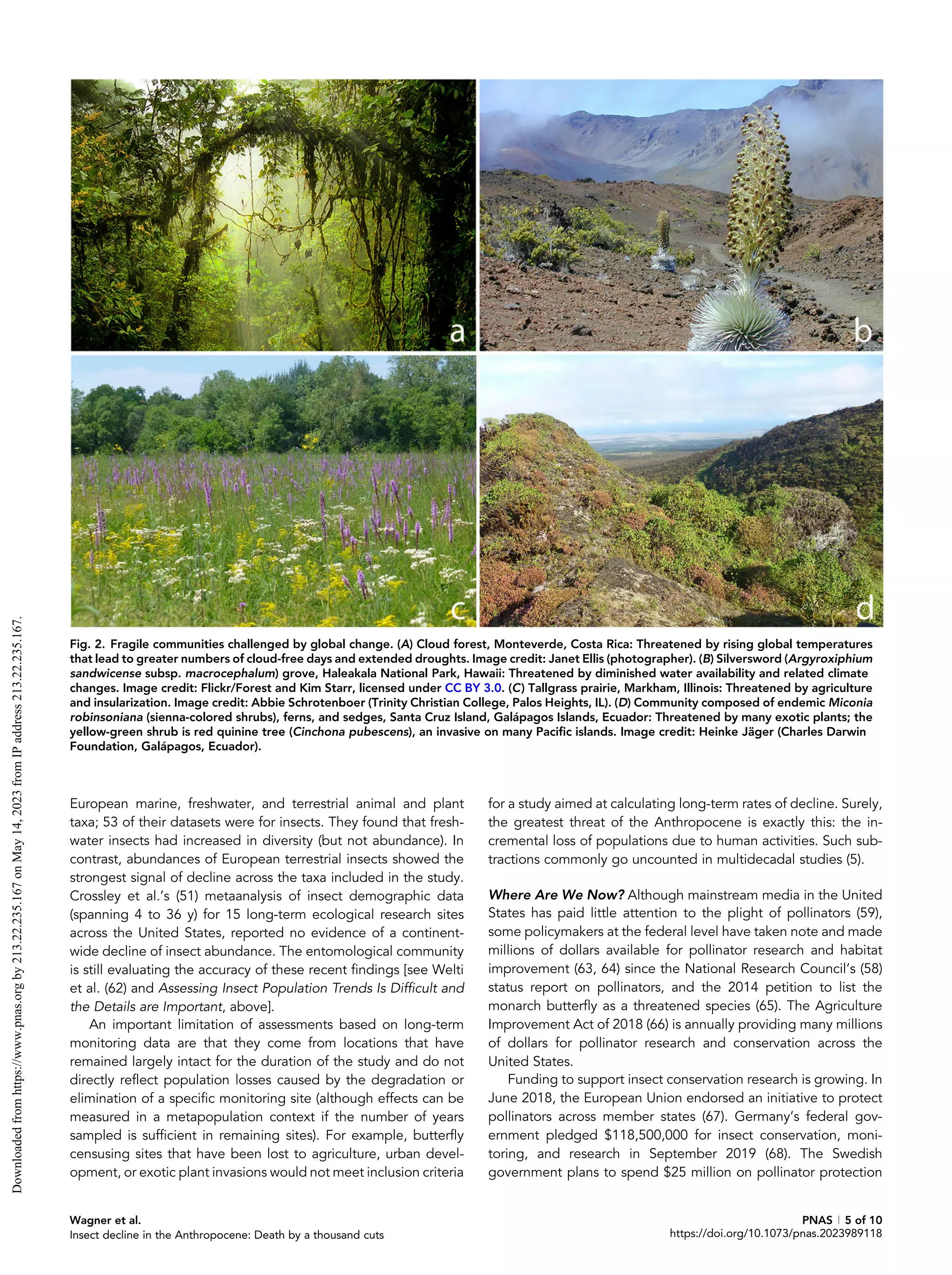 Insect decline in Anthopocene | PDF