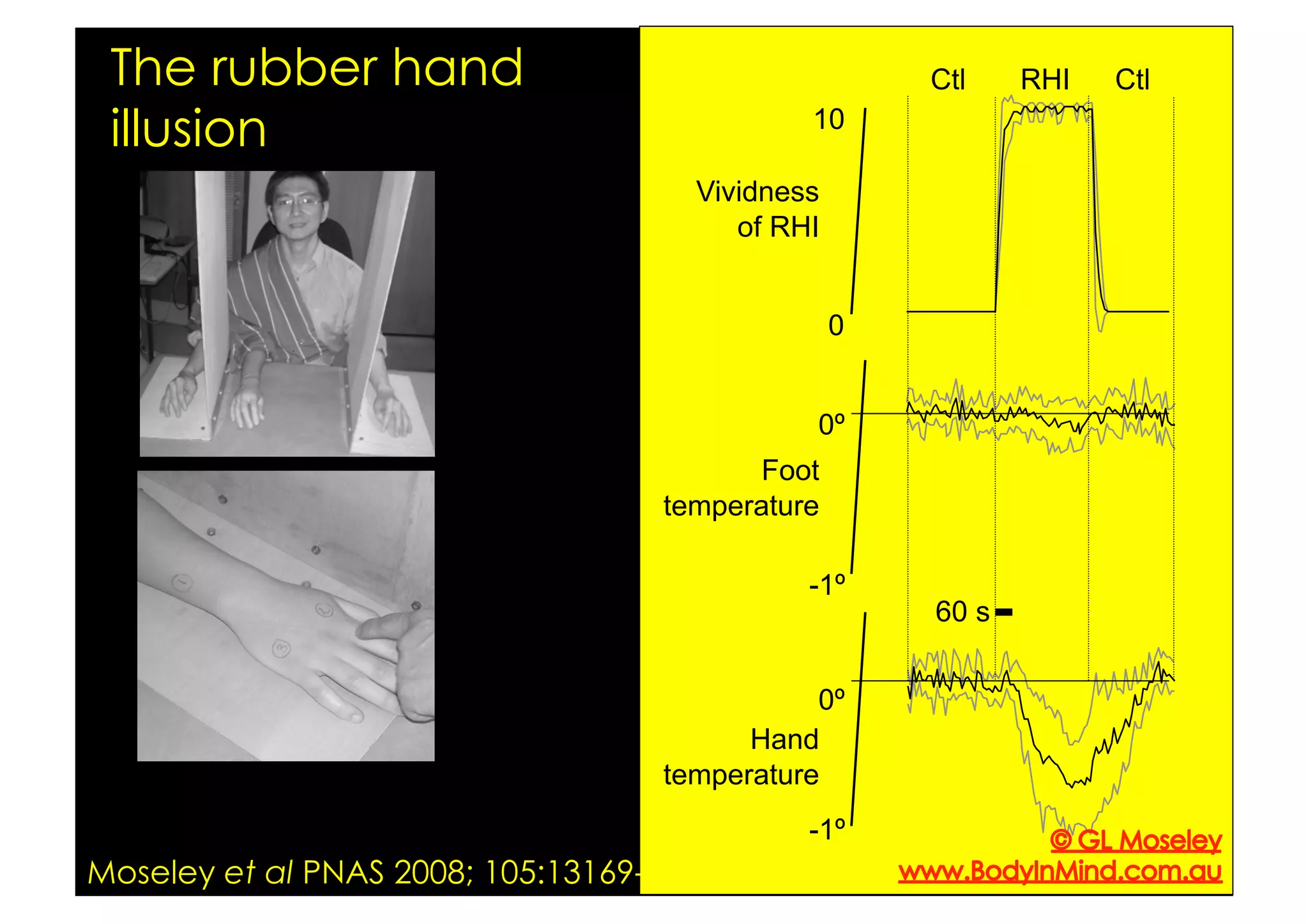 The Rubber Hand Illusion | PDF