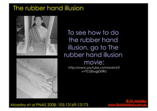 The Rubber Hand Illusion | PPT