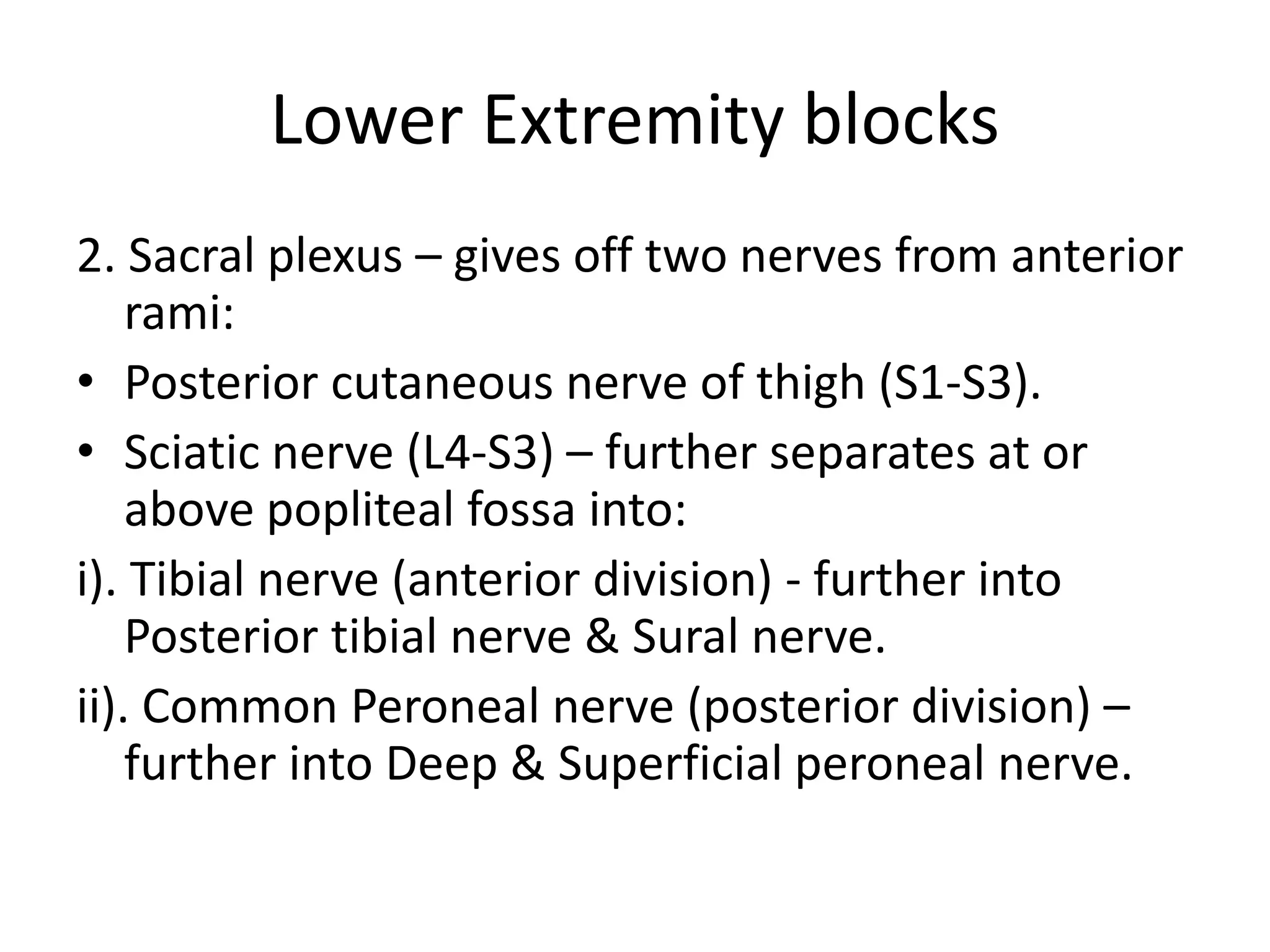 PNB of lower limb & paravertebral block | PPTX