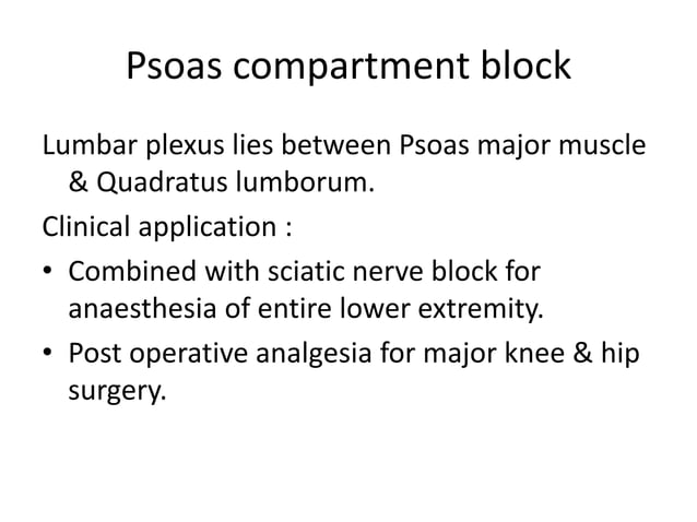 PNB of lower limb & paravertebral block | PPTX