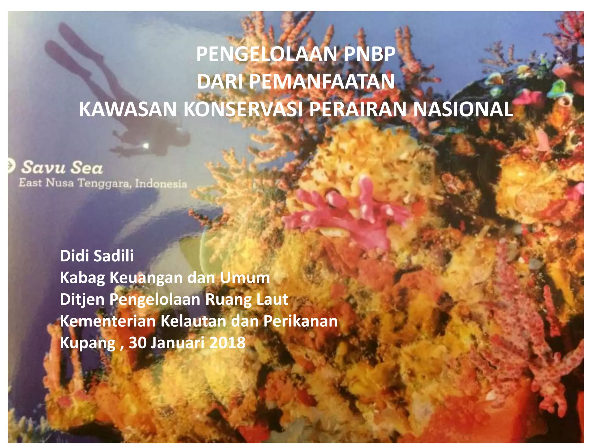 Pengelolaan Penerimaan Negara Bukan Pajak PNBP dari Pemanfaatan Kawasan ...