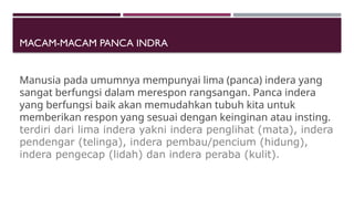 panca indra manusia dan hidung mata .pptx