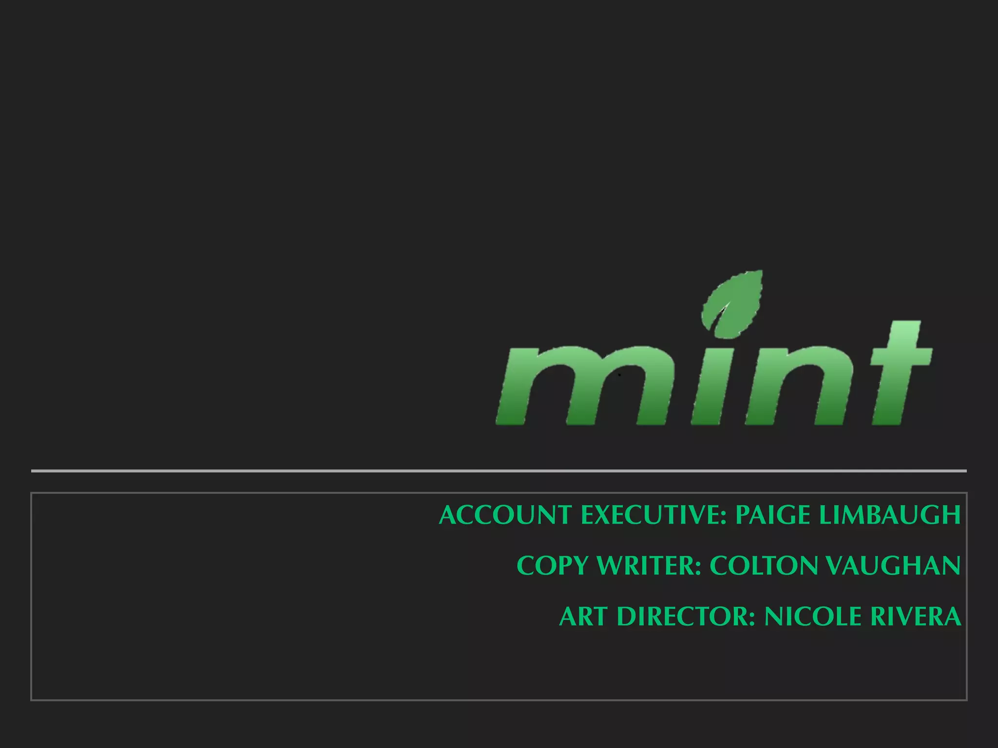 Mint by Intuit Campaign | PDF