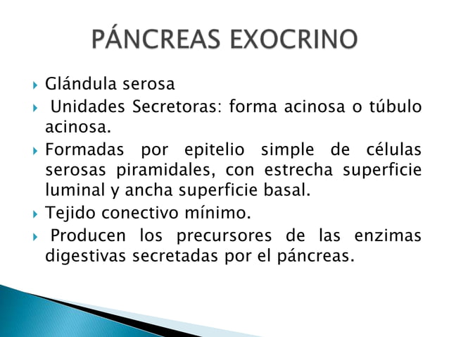 Páncreas Exocrino- Histología | PPTX