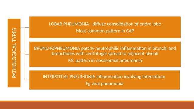 Pneumococcal pneumonia in adults overview.pptx