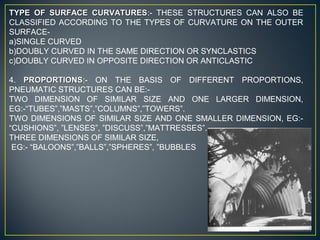 Pneumatic structure - form active structure system | PPT
