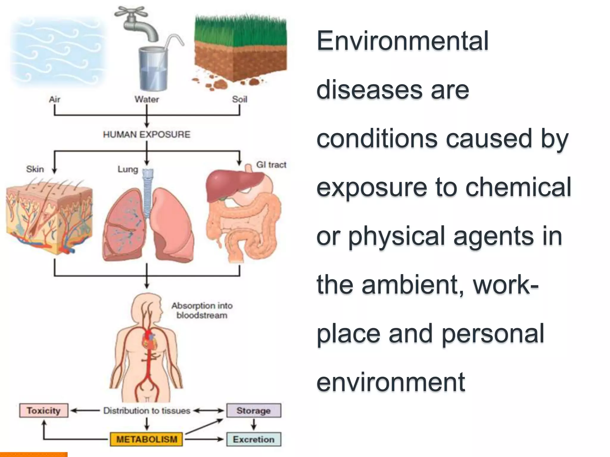 pathology of environmental diseases | PPTX