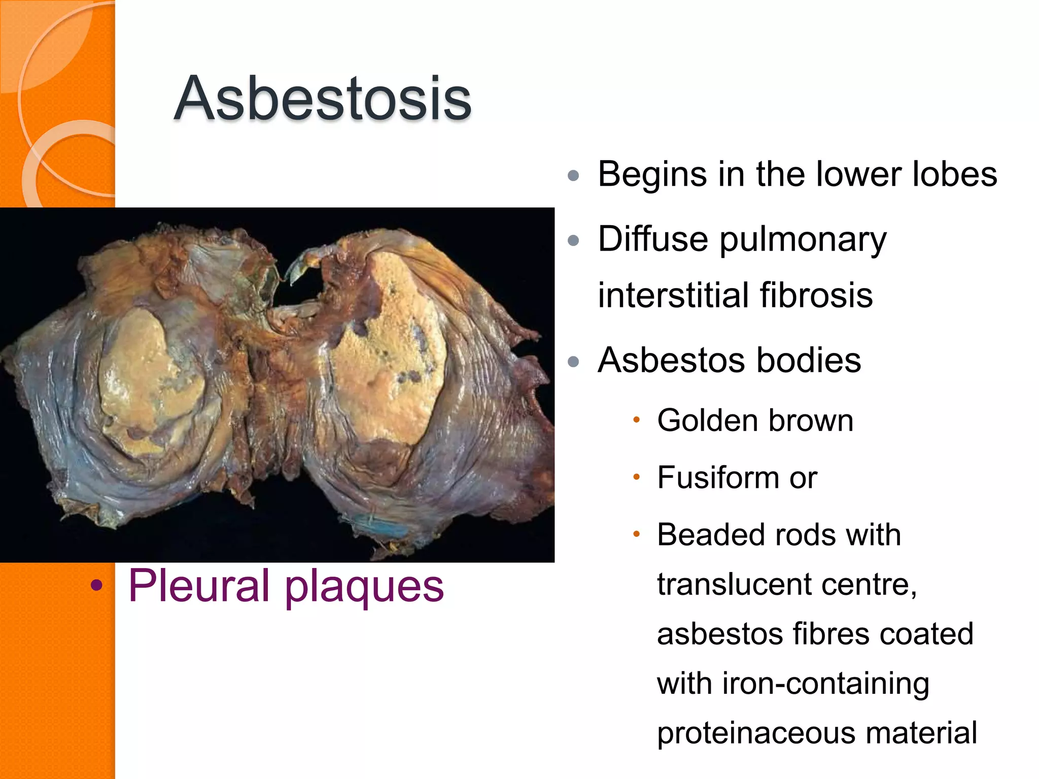pathology of environmental diseases | PPTX