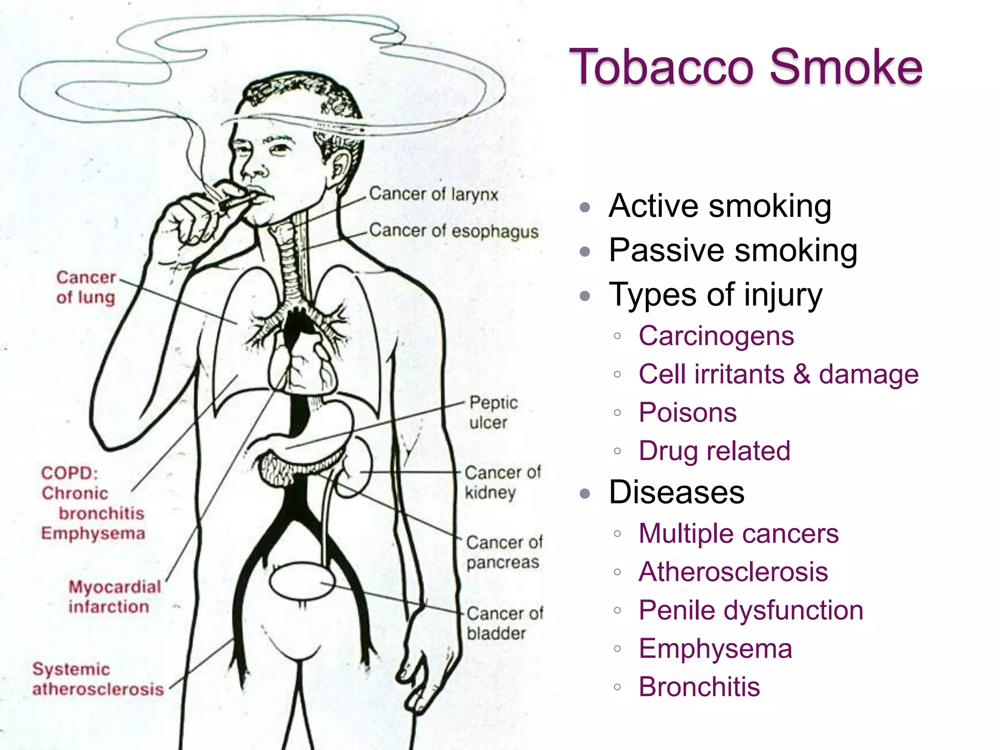 pathology of environmental diseases | PPTX