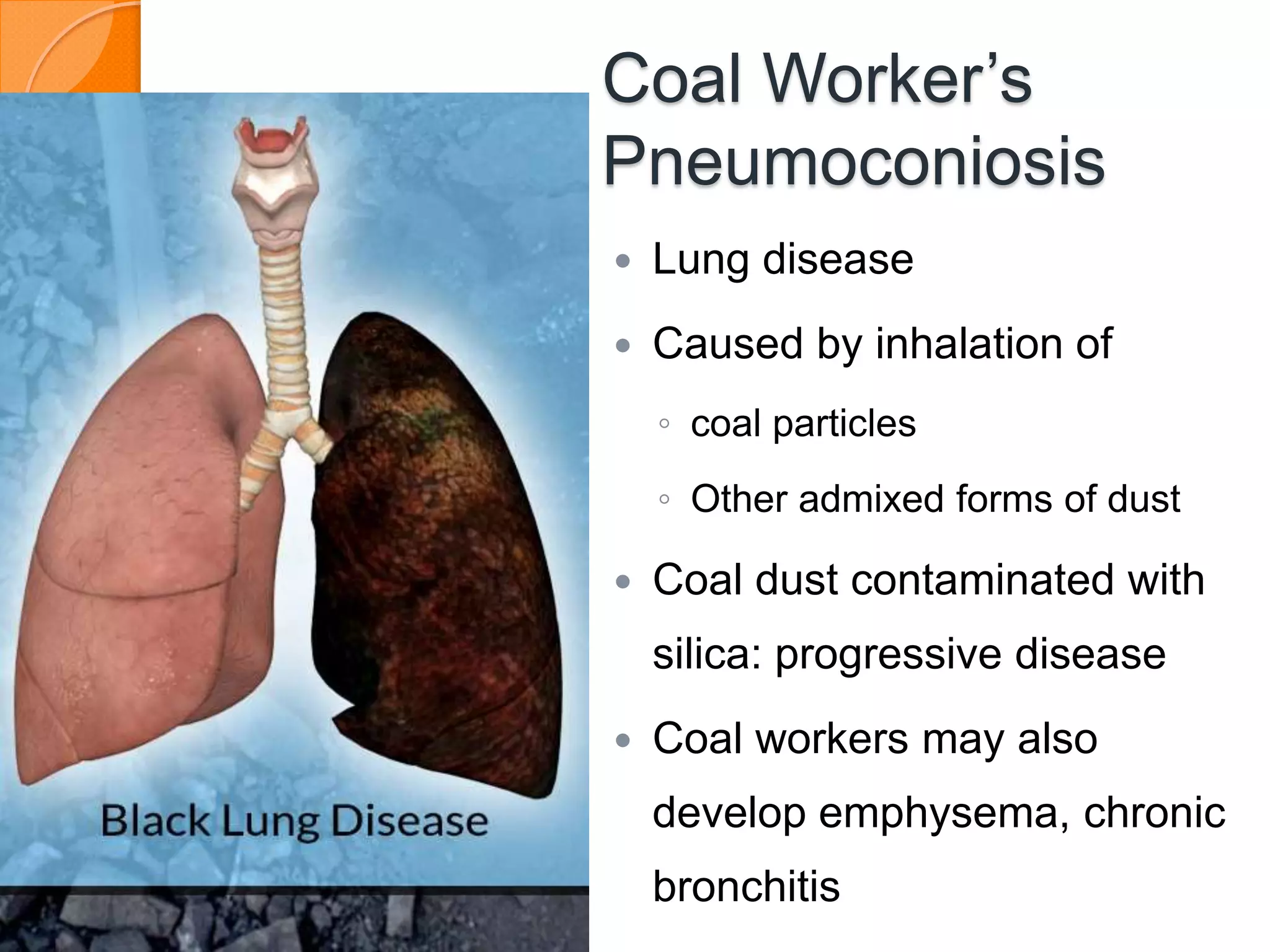 pathology of environmental diseases | PPT