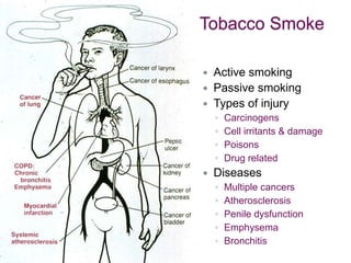 pathology of environmental diseases | PPTX
