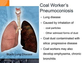 pathology of environmental diseases | PPTX