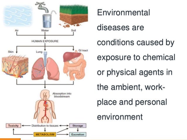 pathology of environmental diseases