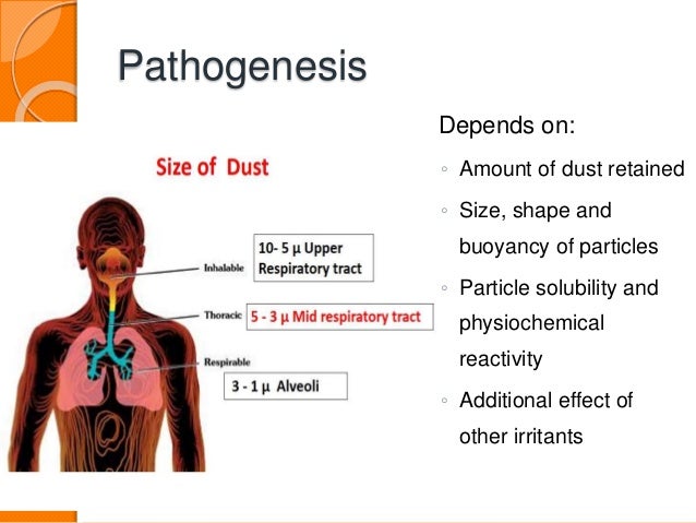 pathology of environmental diseases