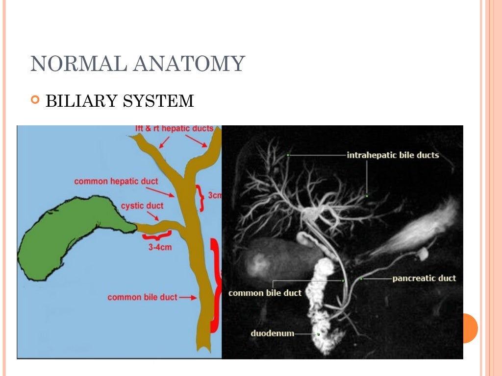 Pneumobilia Vs Portal Vein Gas