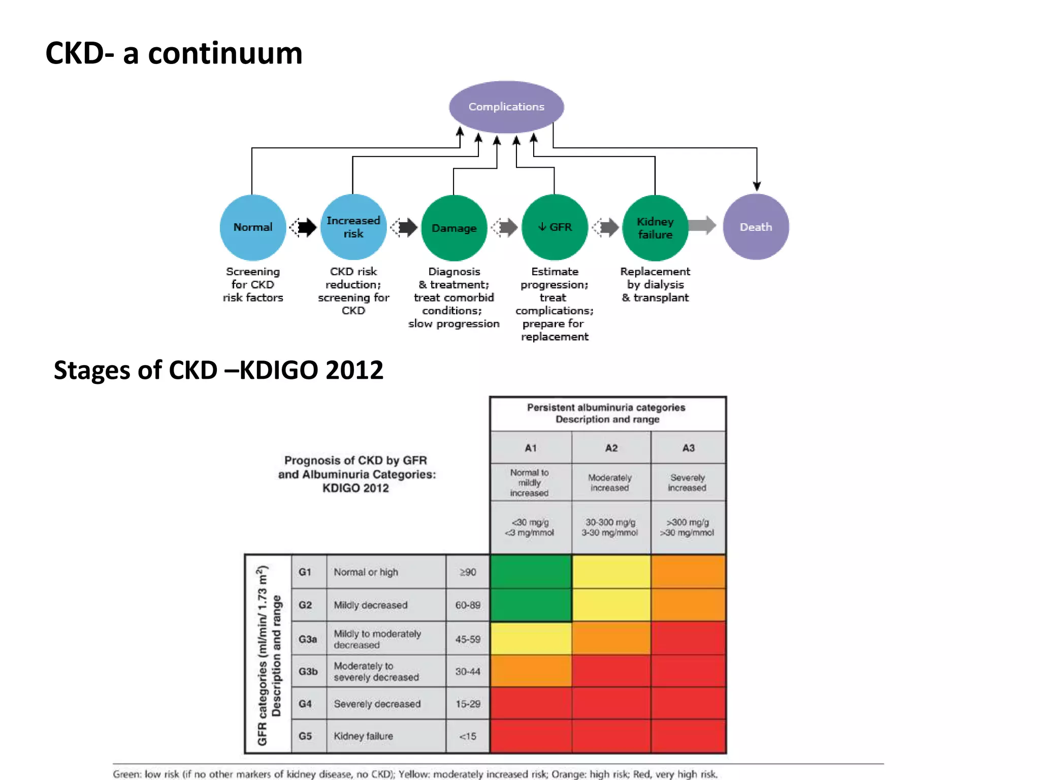 Vaccination in CKD Patients | PPTX