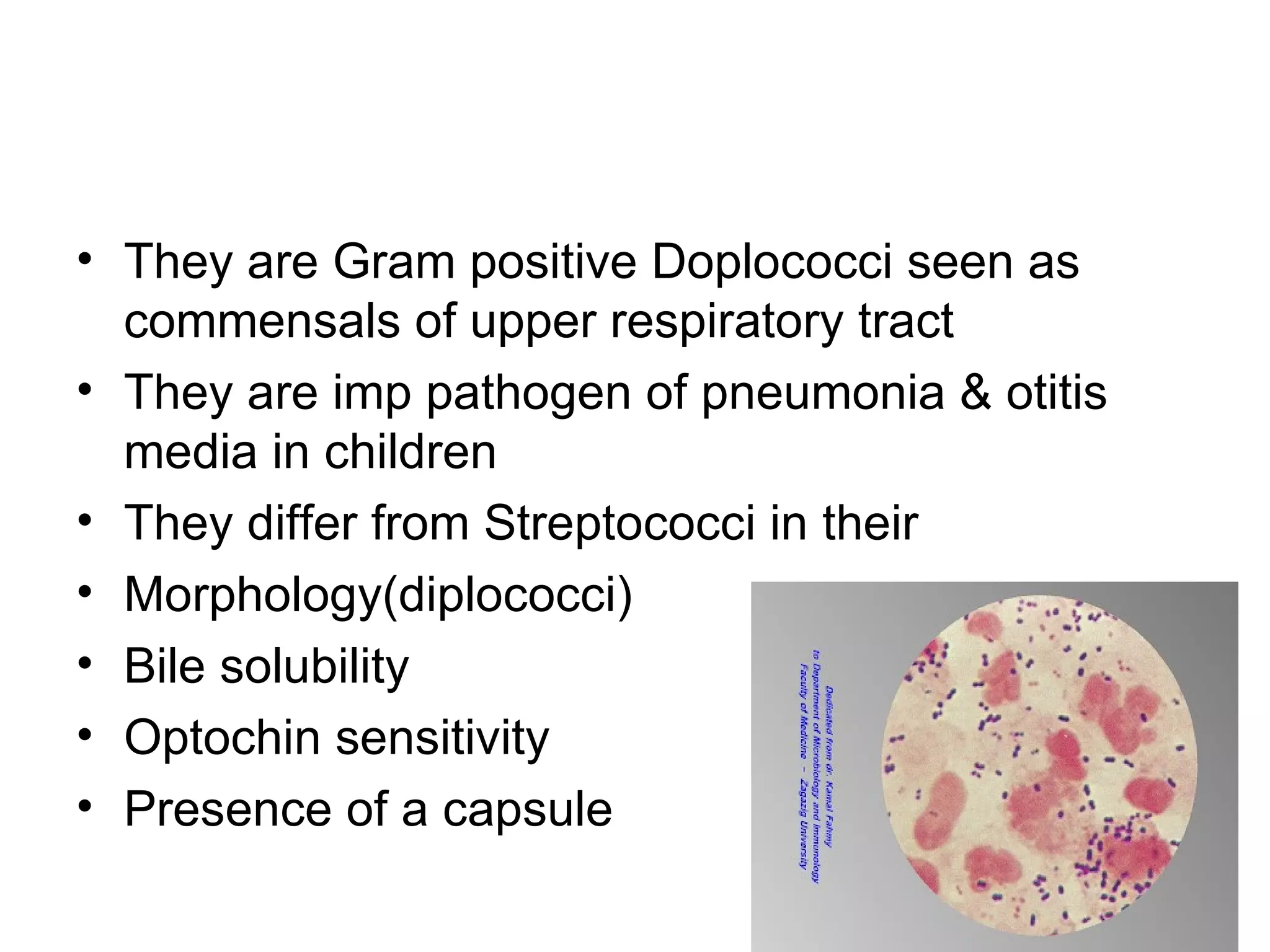 Pneumococci | PPT