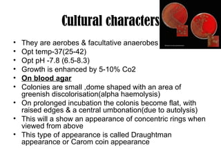 Pneumococci | PPT