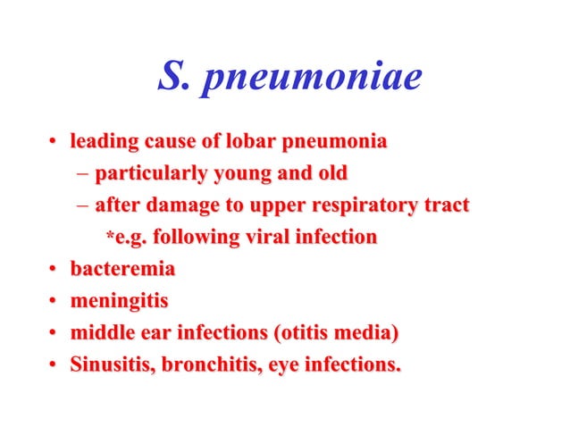 Pneumococci.pptx