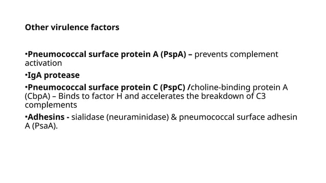 PNEUMOCOCCI PRESENTATION FOR UNDERGRADUATE STUDENTS | PPTX