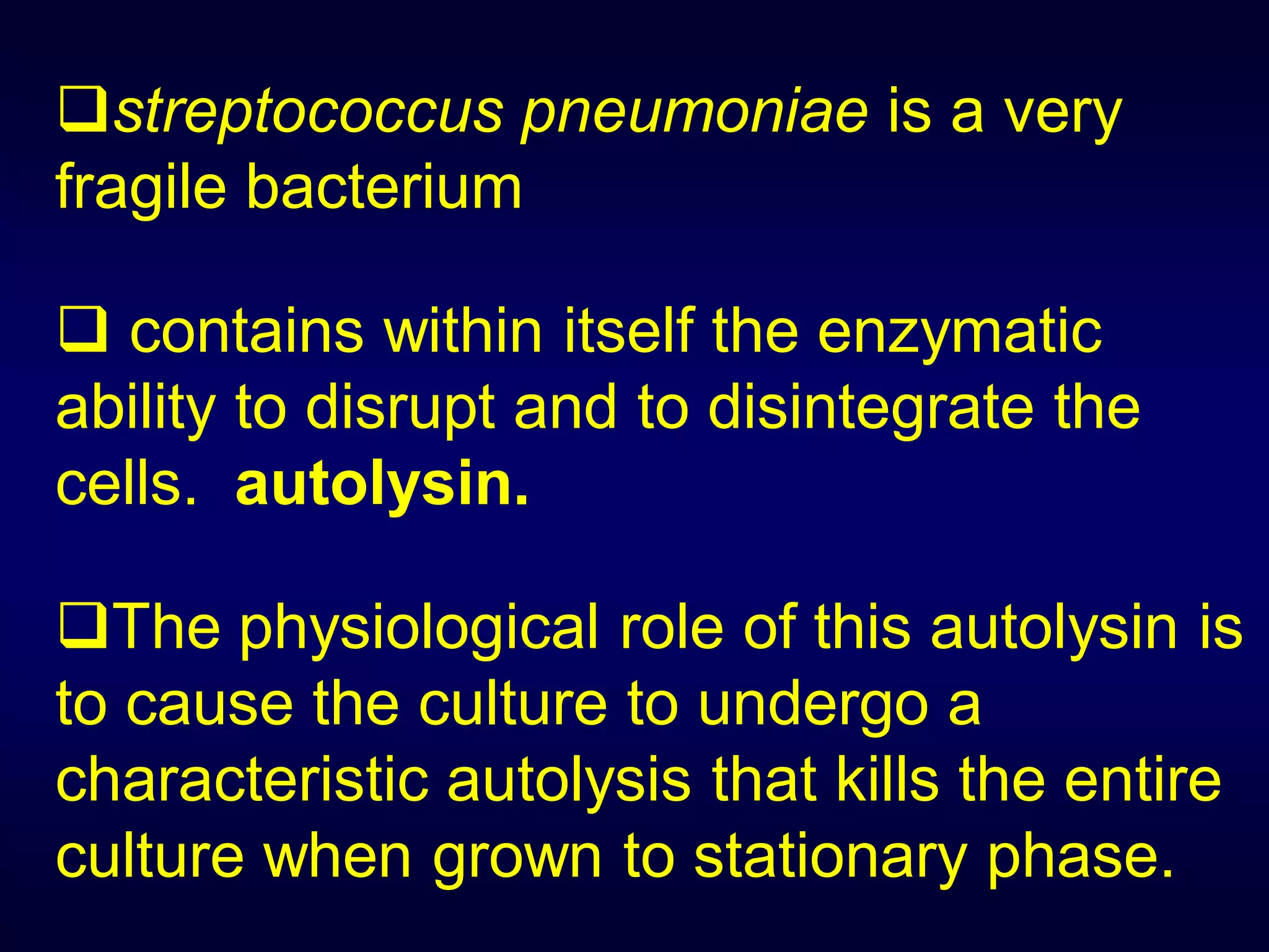 Pneumococci ppt mahadi | PDF | Lung and Respiratory Health | Diseases ...