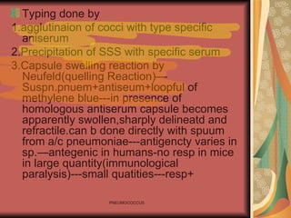 Pneumococcus | PPT