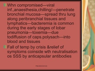 Pneumococcus | PPT