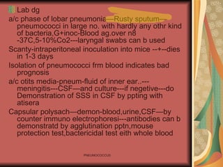 Pneumococcus | PPT