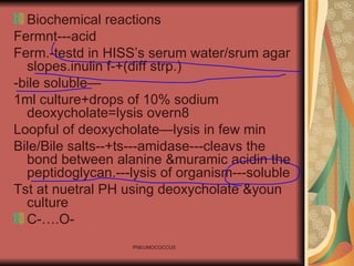 Pneumococcus | PPT