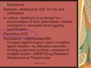 Pneumococcus | PPT