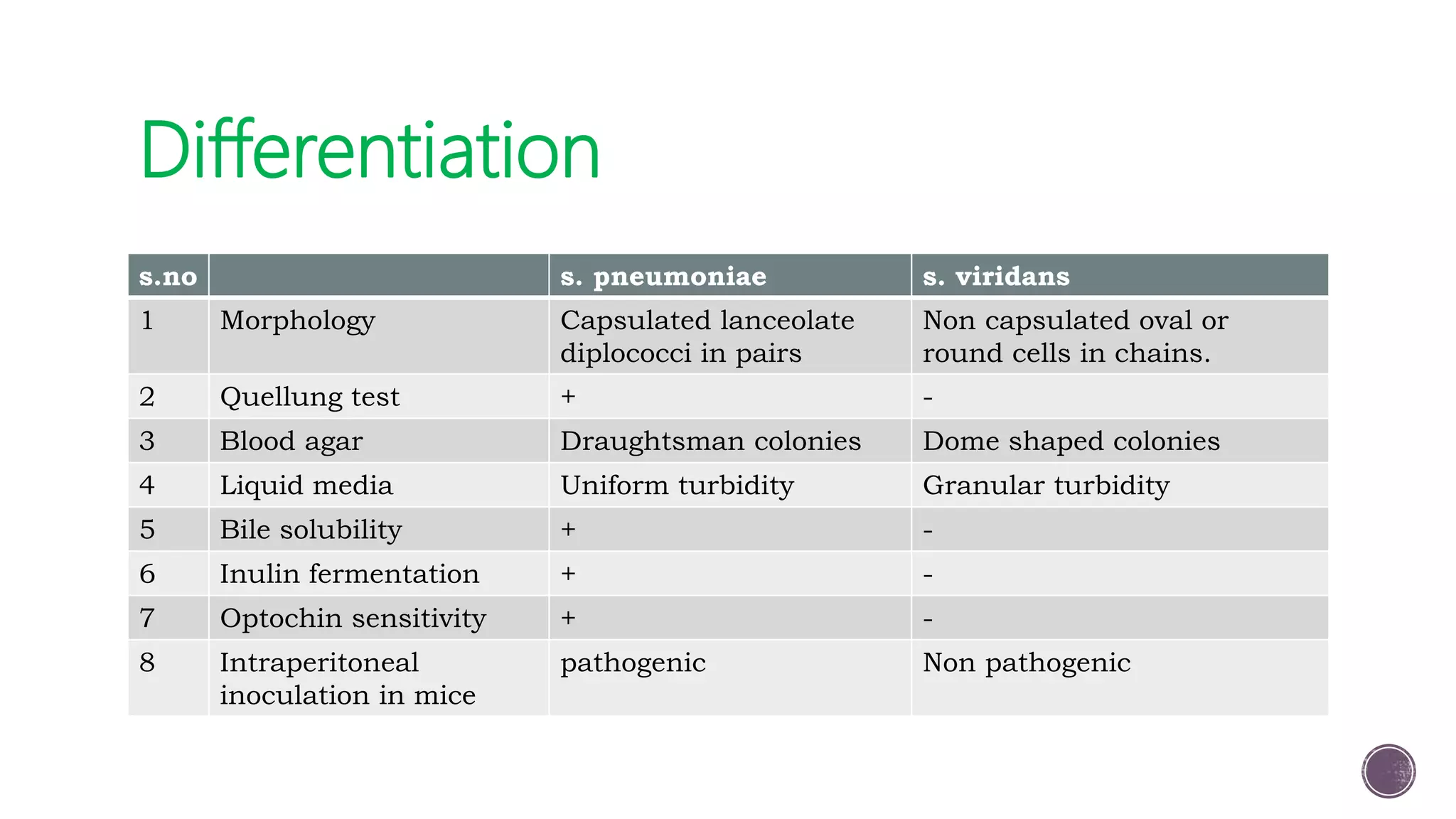 Pneumococcus | PPTX