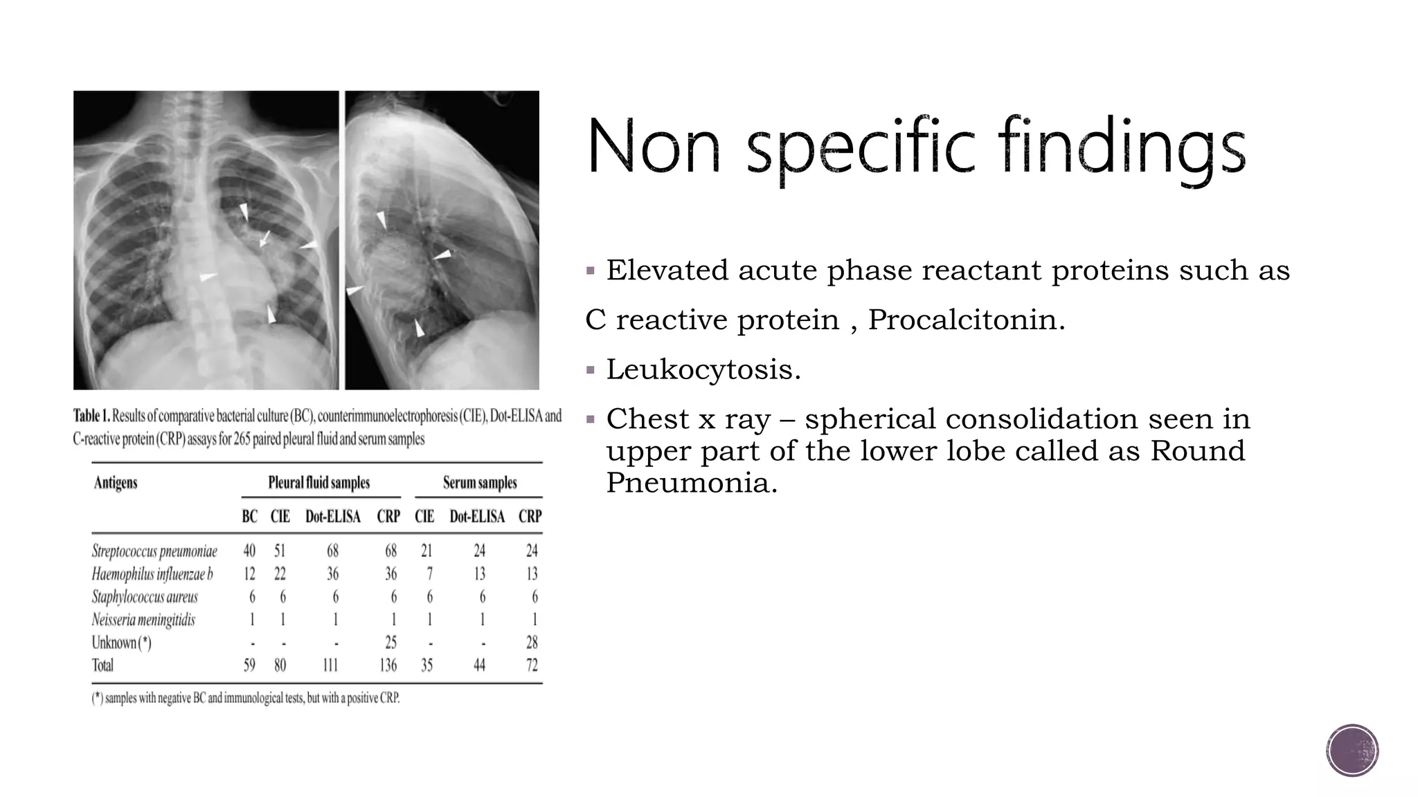 Pneumococcus | PPTX