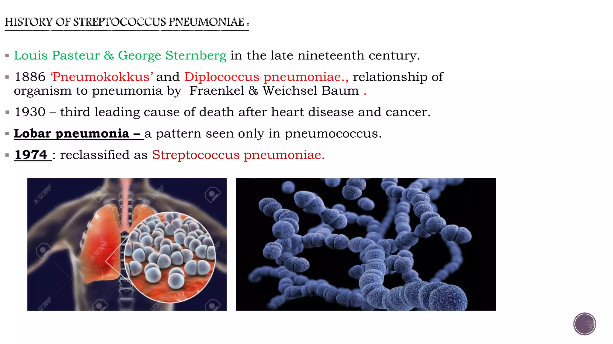 Pneumococcus | PPTX