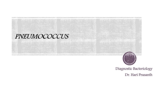 Pneumococcus | PPTX
