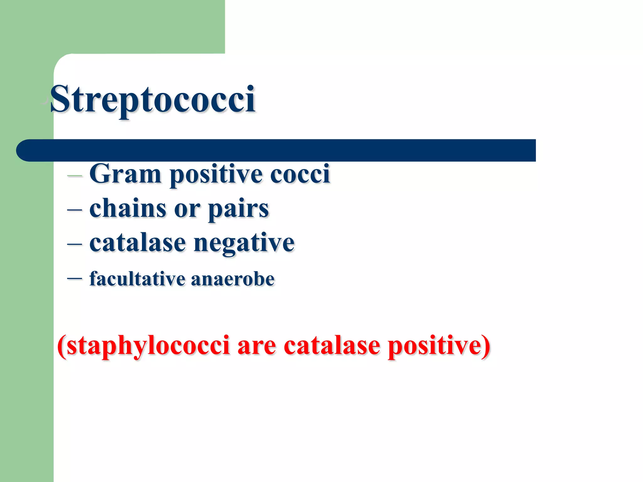 Pneumococcus | PPT | Lung and Respiratory Health | Diseases and Conditions